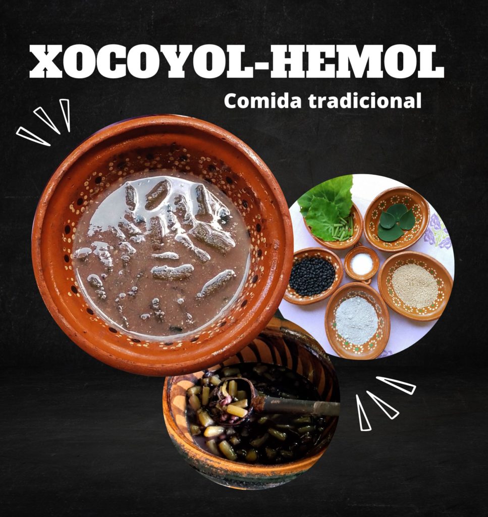 Recorrido, demostración y degustación de Xocoyol-Hemol - Tianguis Kostik